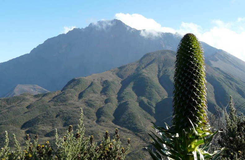 4 Days Mount Meru Climbing – Momela Route | Lets View Tanzania