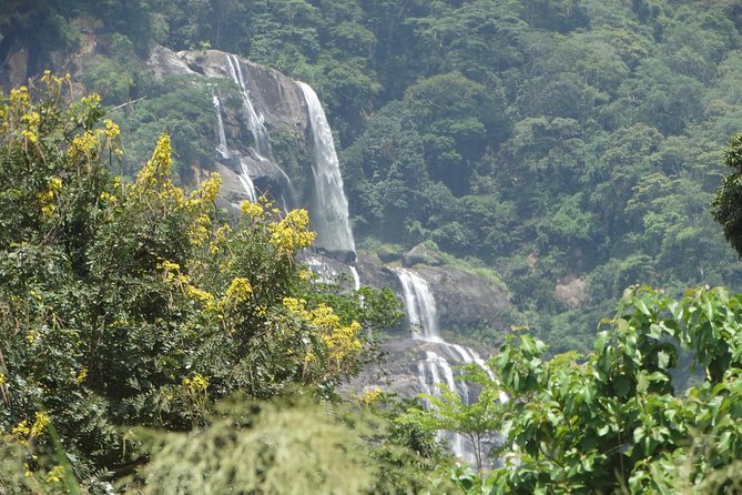 Mt. Meru Waterfall Hike | Lets View Tanzania