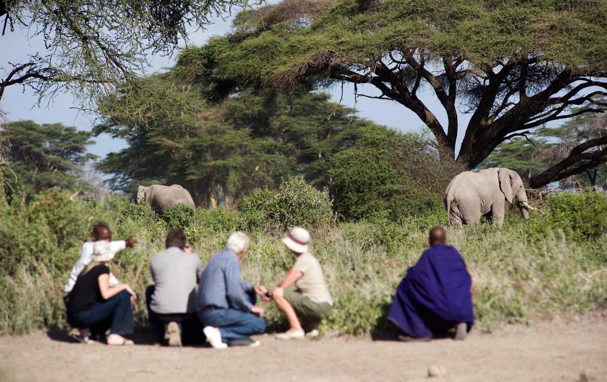 Kambi Ya Tembo, West Of Mount Kilimanjaro Park - Lets View Tanzania